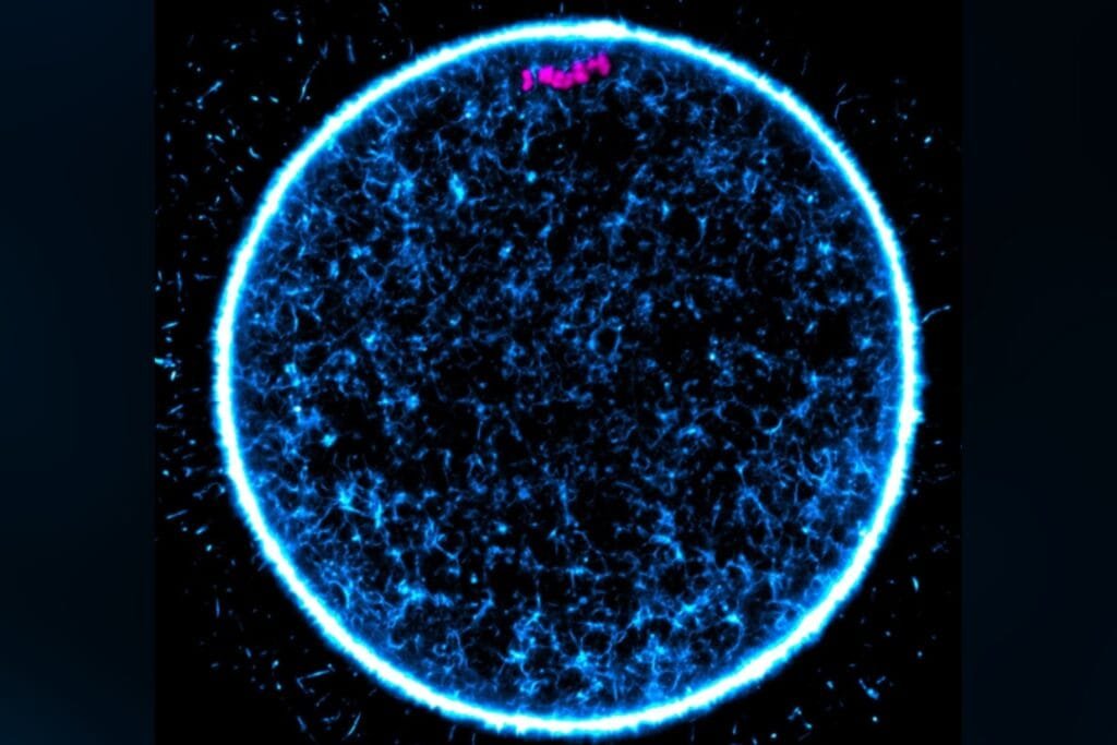London startup Ovo Labs raises £4M to improve IVF success in women over ...