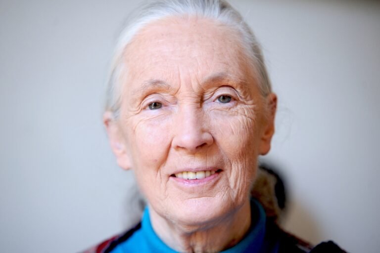 Dr. Jane Goodall: The quiet power that redefined our view of nature ...