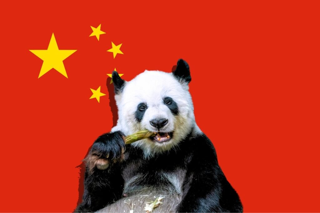 Panda Diplomacy: The interplay of wildlife conservation and Chinese ...